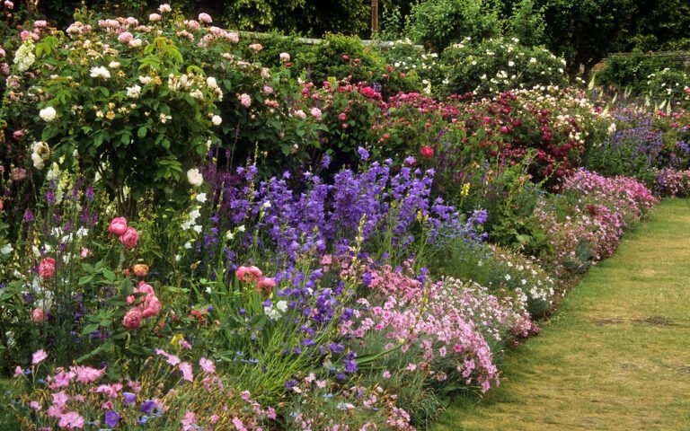 Understanding Different Types of Shade: Full, Partial, and Dappled ... Understanding Different Types of Shade: Full, Partial, and Dappled ...